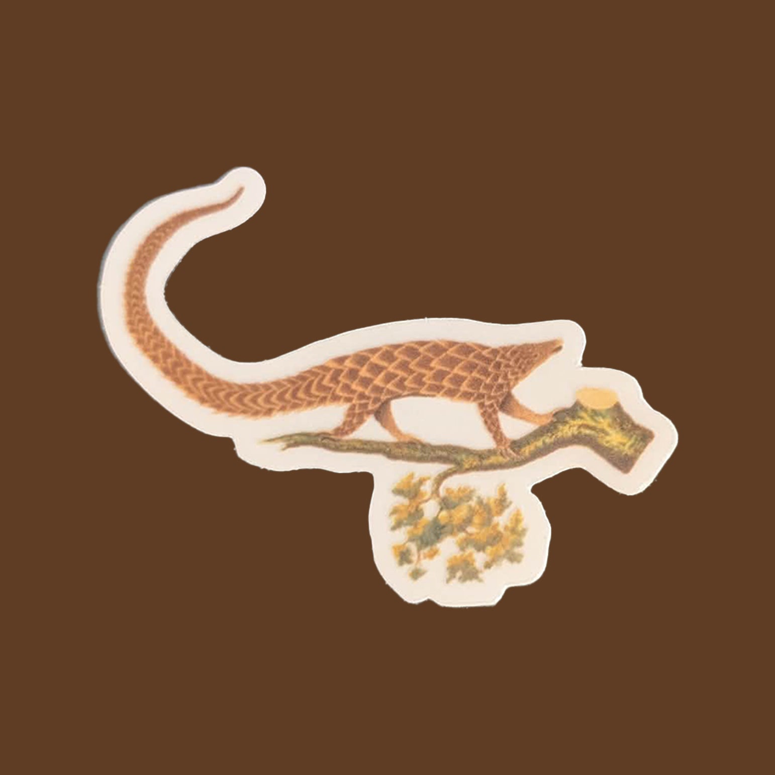 Pangolin Sticker – Wild Green Memes